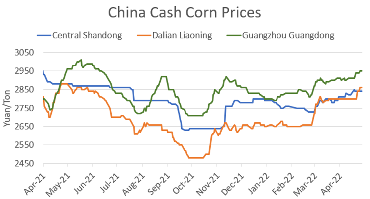 Corn prices tick higher; Supports for restaurants; Imported corn ...