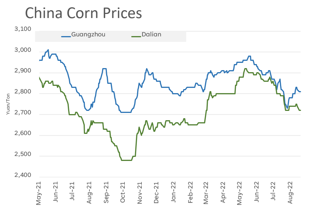 Corn futures fall amid harvest pressure; Chart of the Day – Sitonia ...