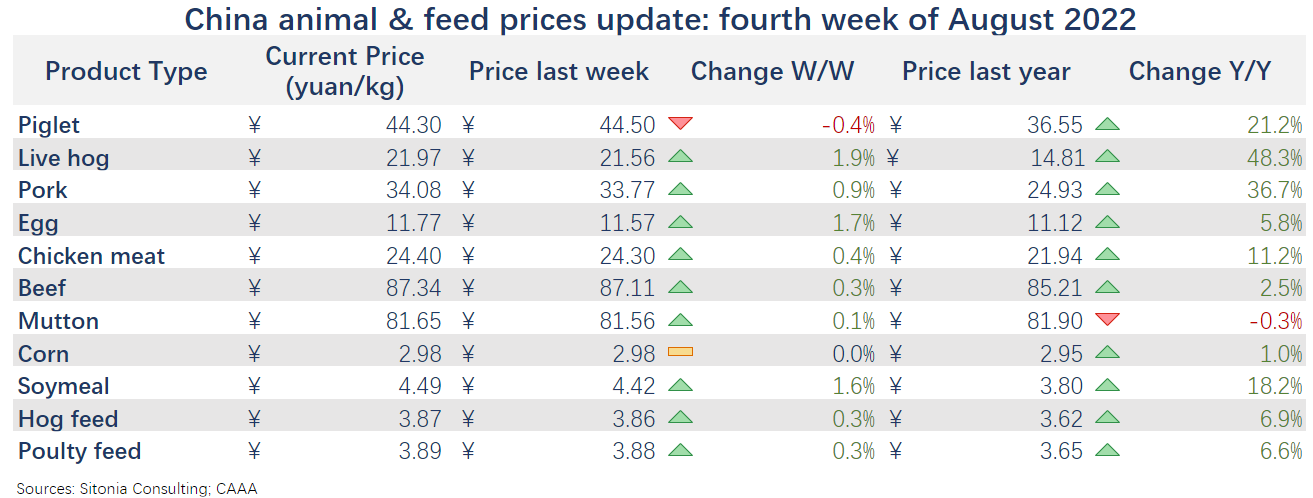 Prices update; Egg futures at 1-mth high – Sitonia Consulting