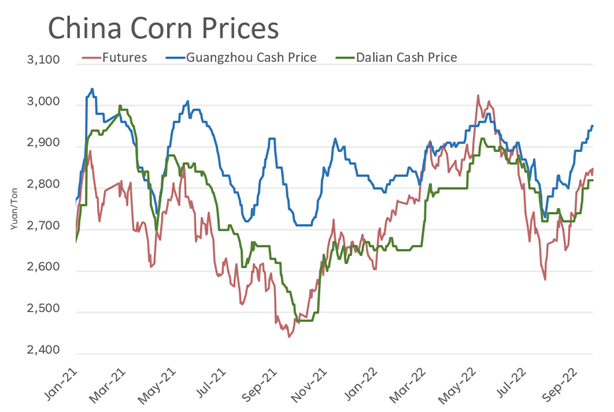 Corn price chart; Autumn harvest pace; Pricy new harvest – Sitonia ...