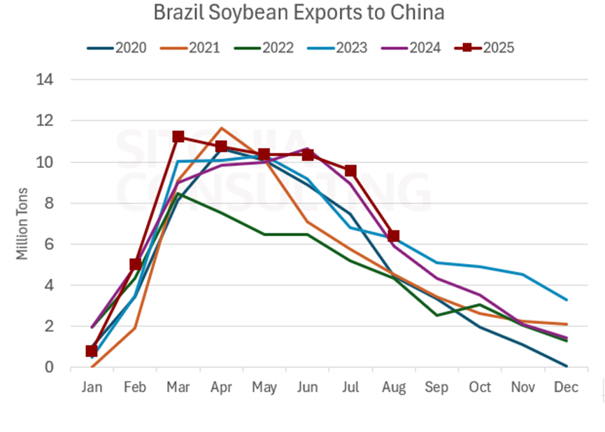 Brazil soy exports maintain strong pace in August; corn exports to ...